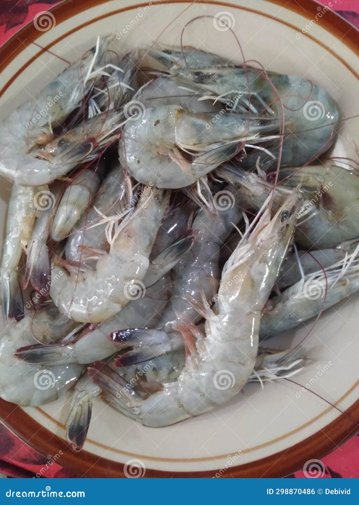 Fresh shrimp from farm stock photo. Image of cuisine - 298870486
