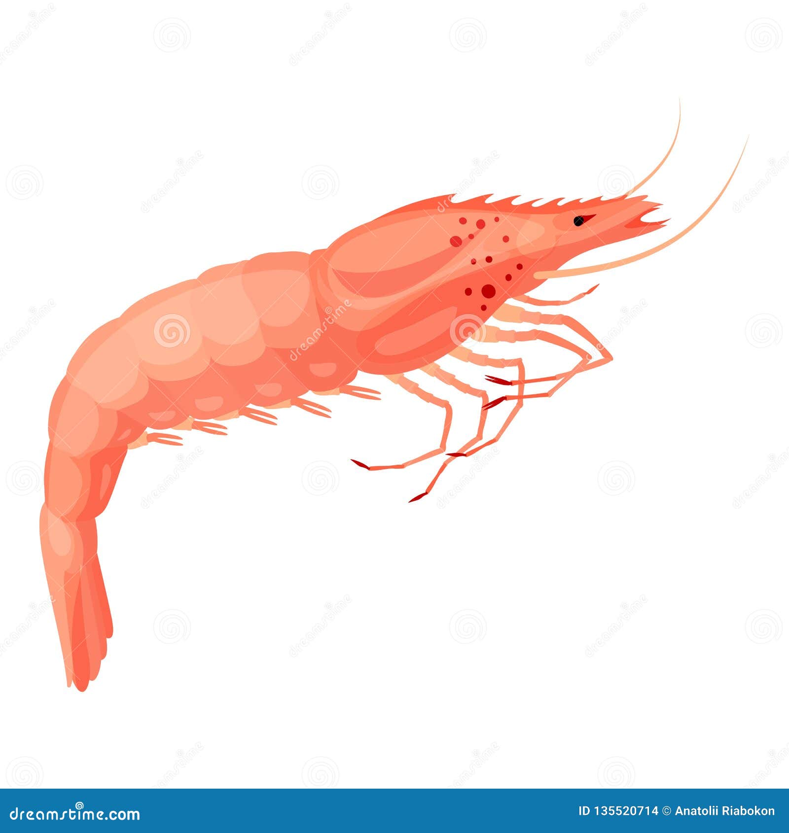 Fresh Shrimp Icon, Cartoon Style Stock Vector - Illustration of cooked ...