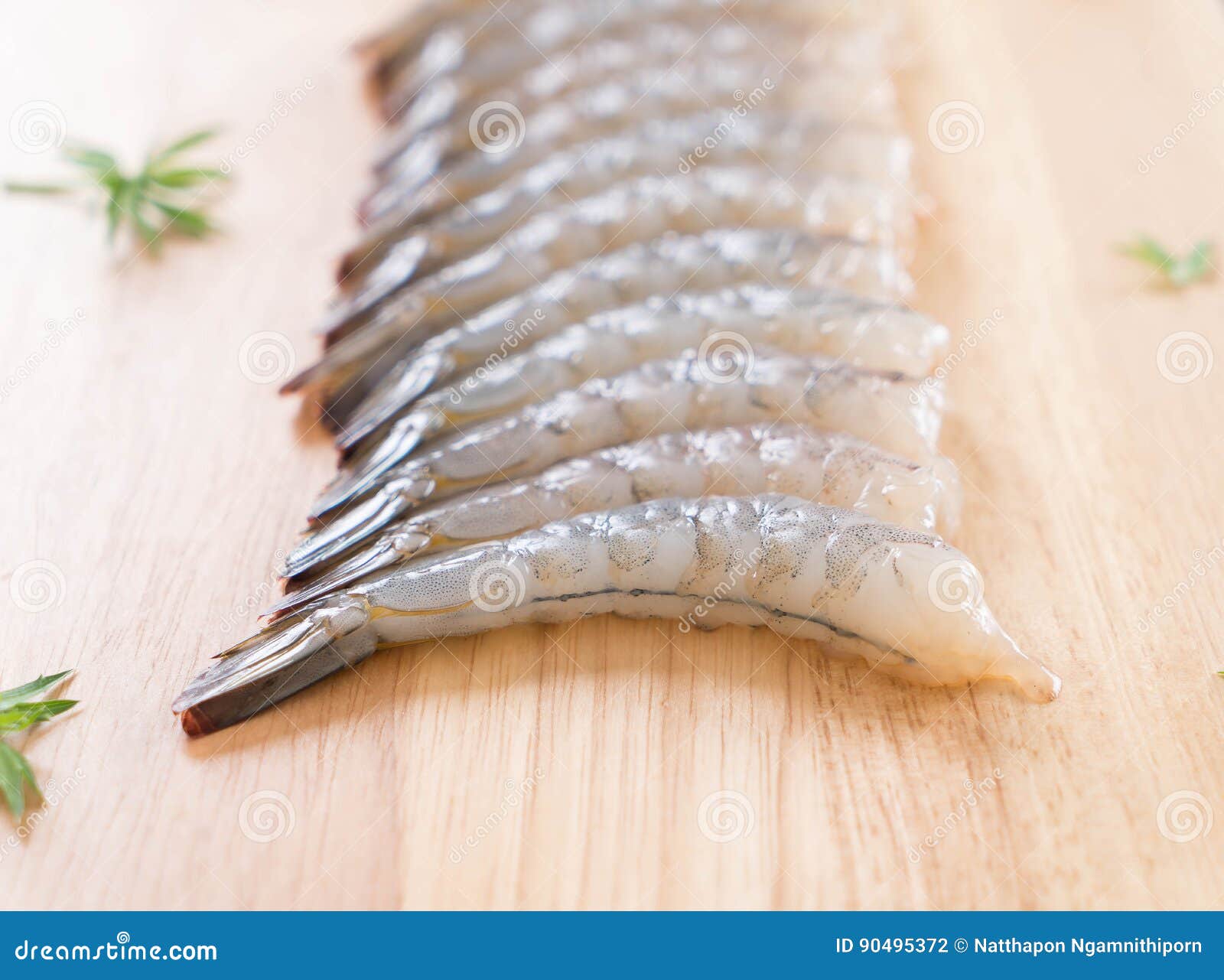 Fresh shrimp/prawn stock photo. Image of white, head - 90495372
