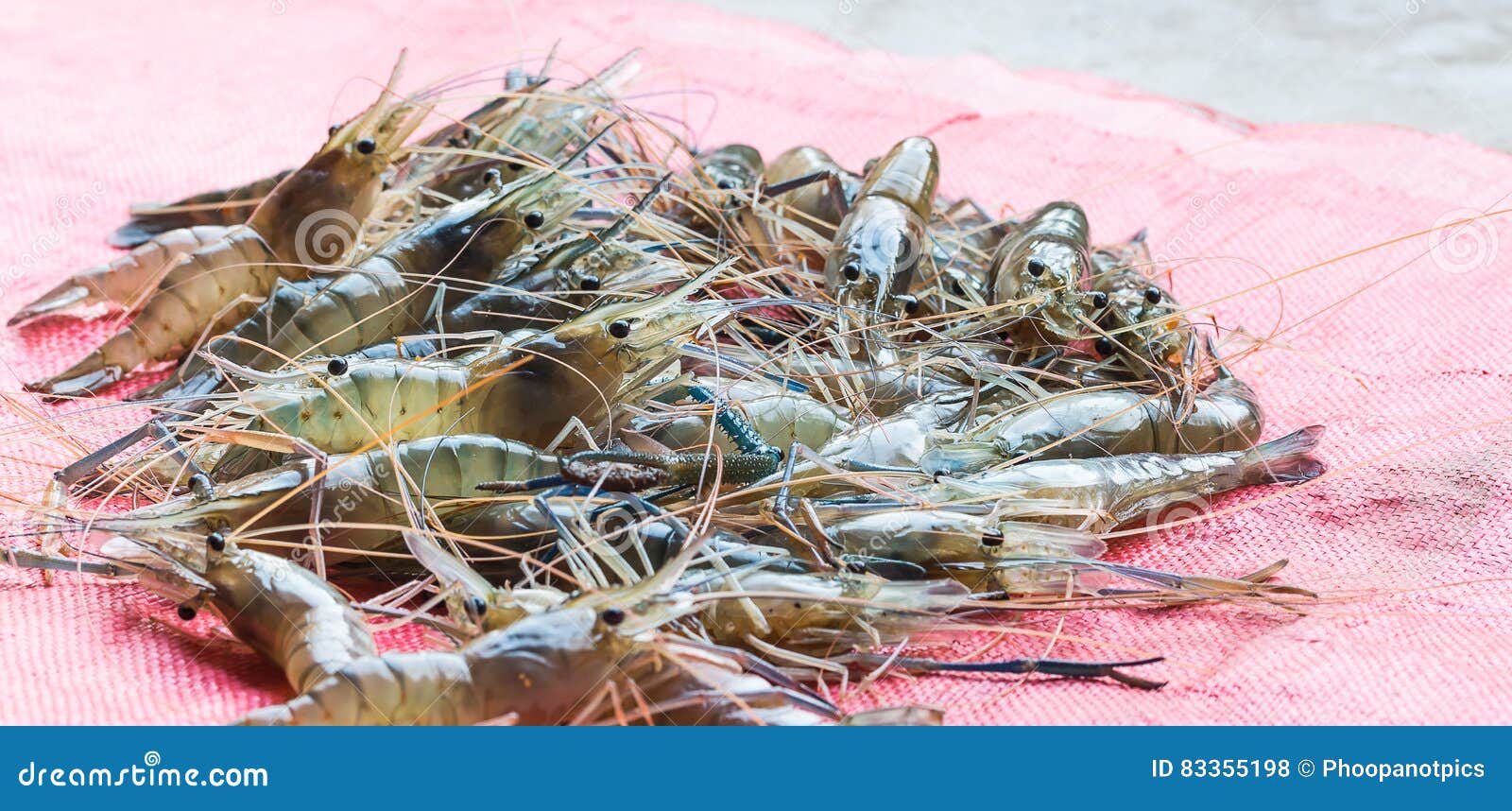 Fresh shrimp stock photo. Image of background, food, organism - 83355198