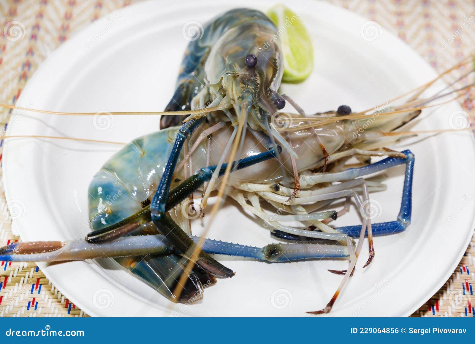 Fresh Shrimp Set with Big Blue Claws Close-up on Blurred Background ...