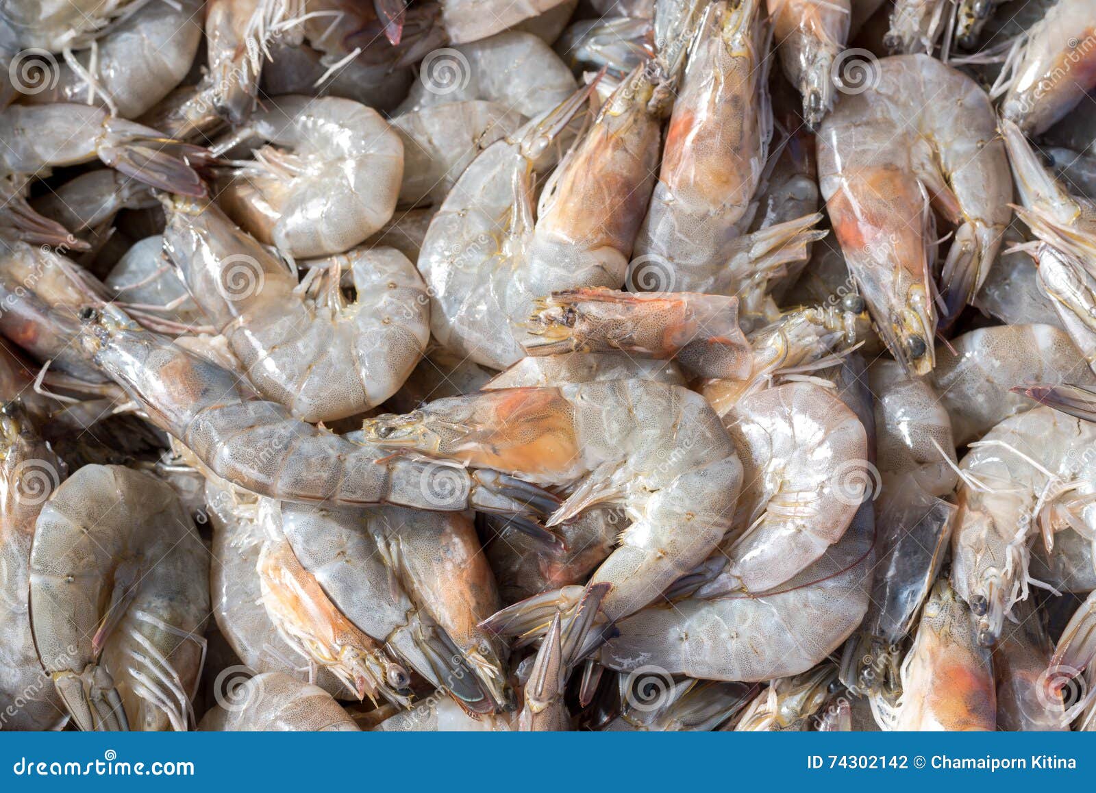 Fresh Shrimp on Tray in Market Stock Photo - Image of culinary ...