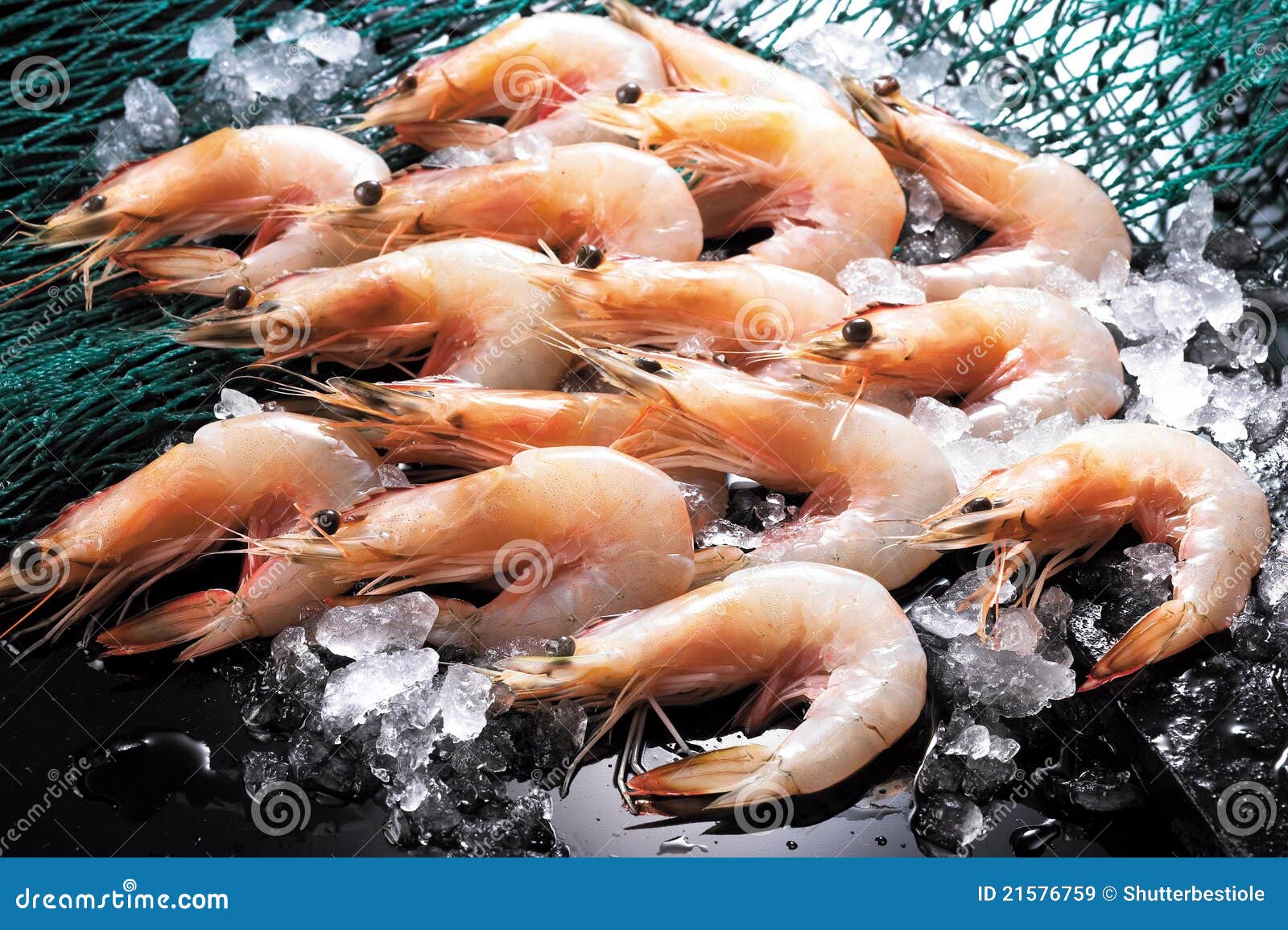 Fresh shrimps stock image. Image of fishing, cooked, closeup - 21576759