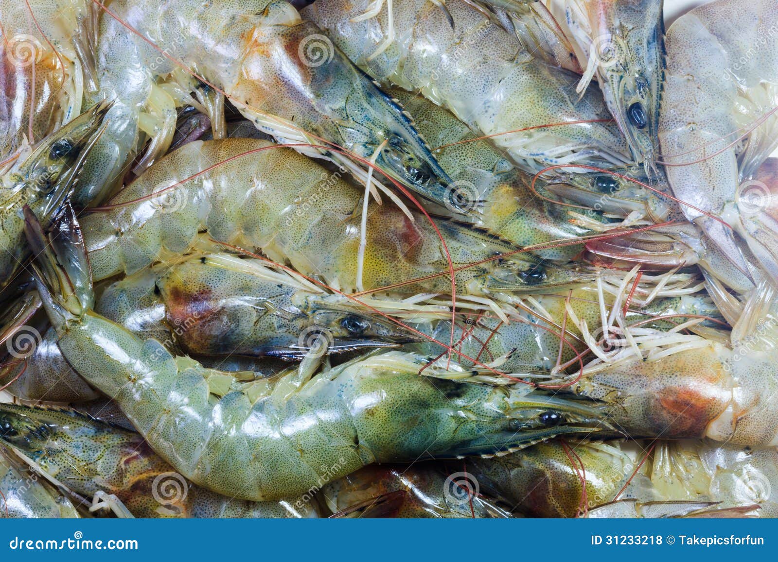 Fresh shrimps stock photo. Image of heap, thailand, prawn - 31233218