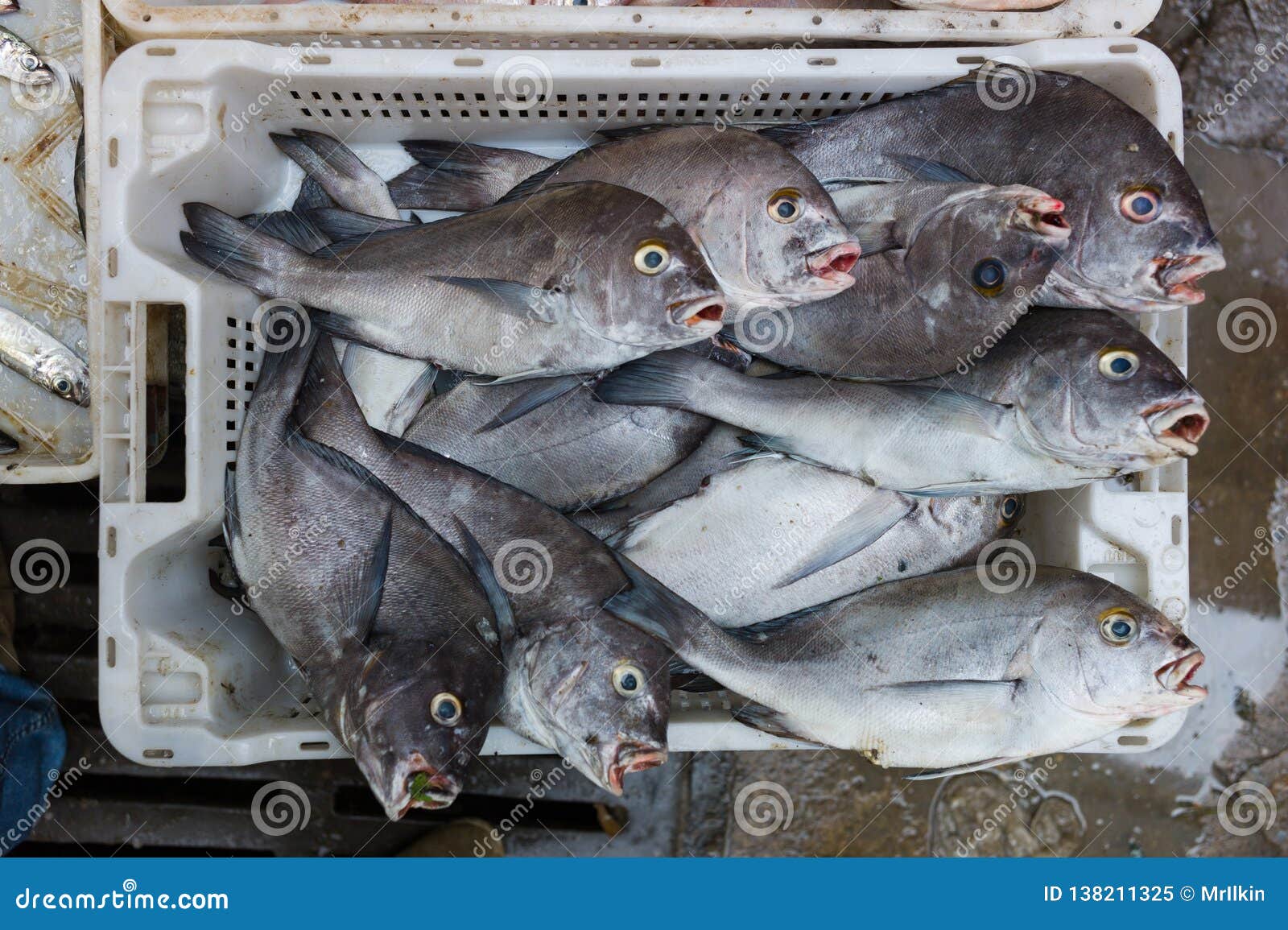 Fresh Silver Fish in a Plastic Box Stock Image - Image of ingredient ...