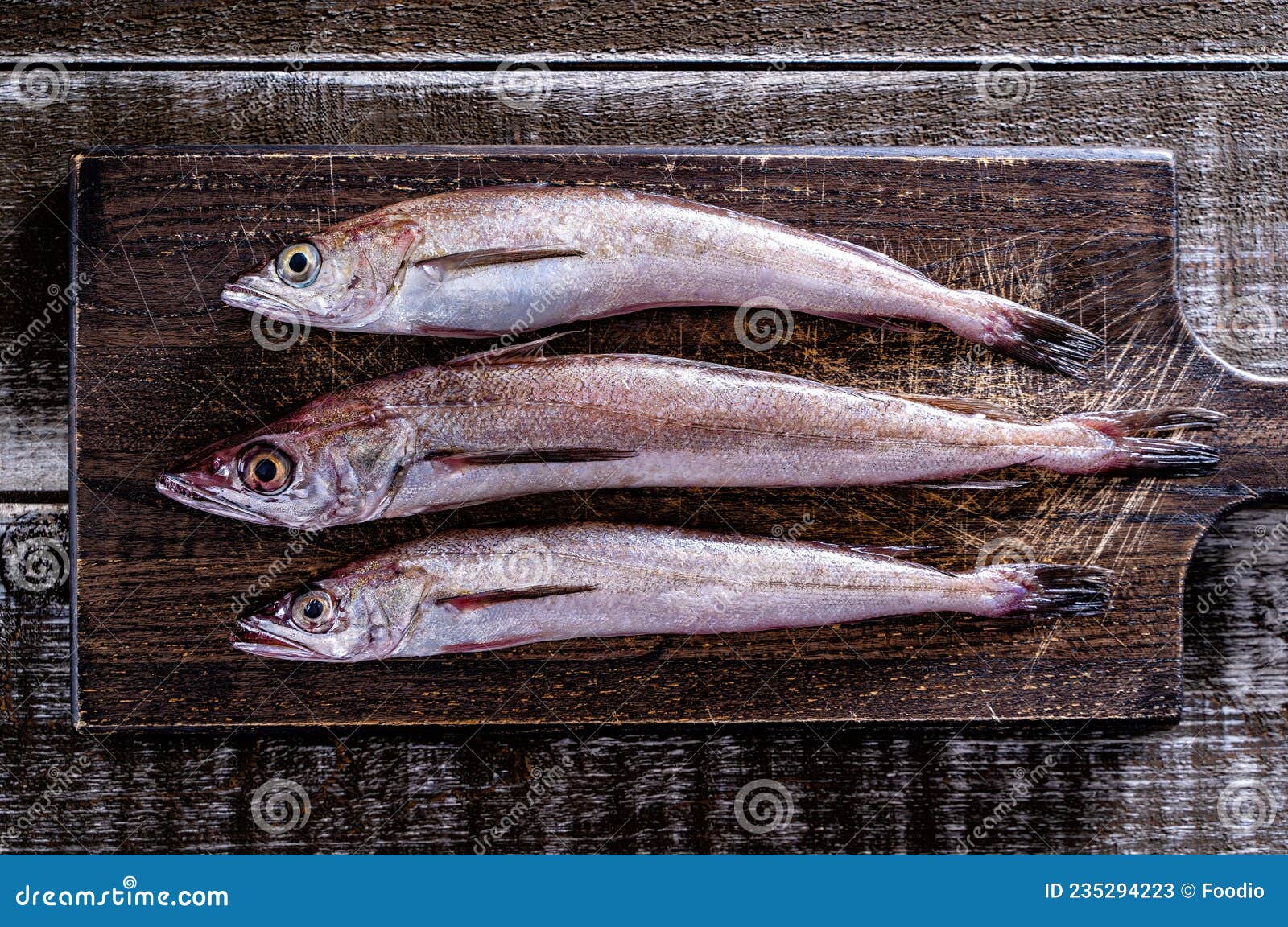 Fresh Silver Hake stock image. Image of fresh, rustic - 235294223