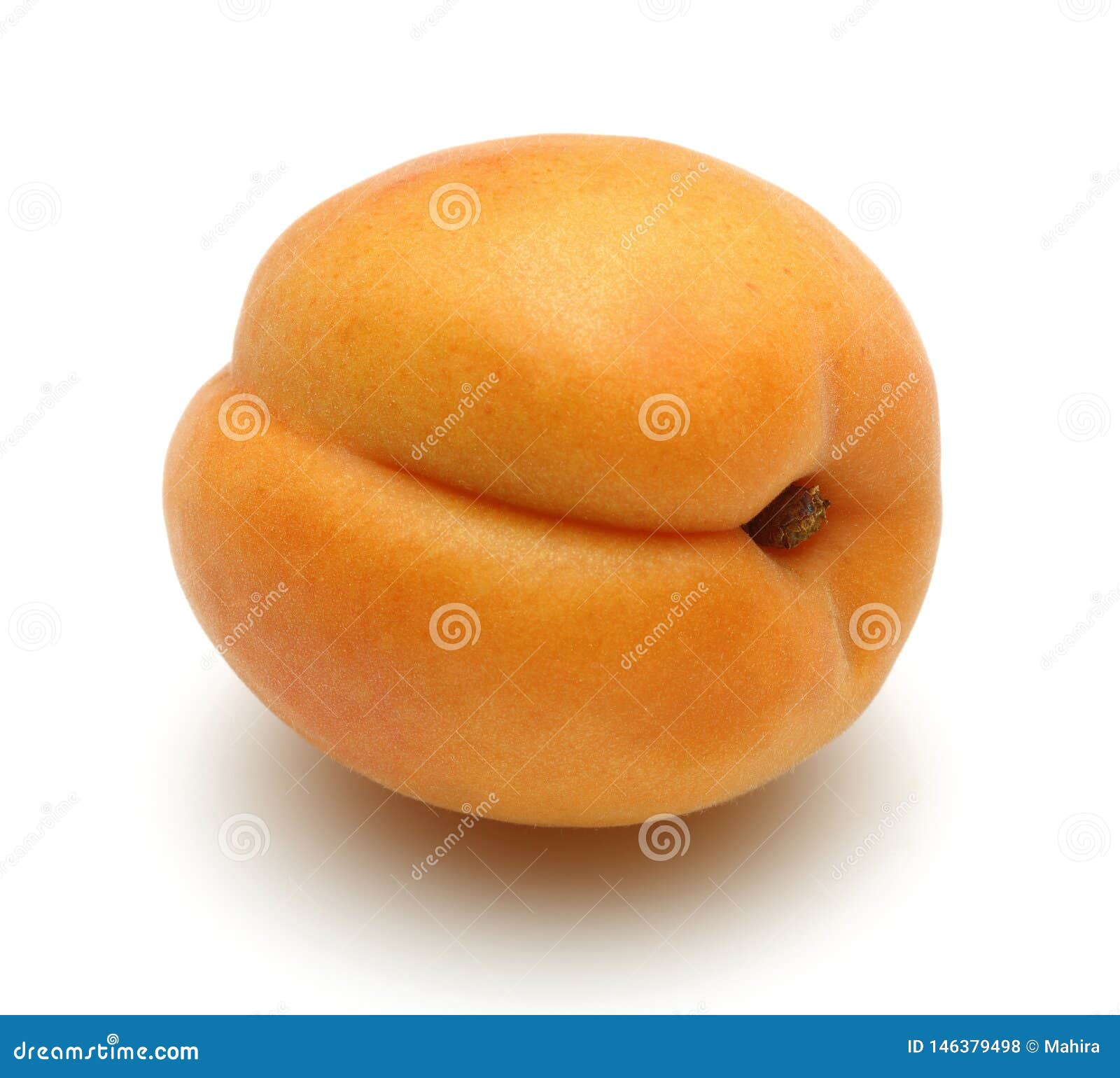 Fresh Single Apricot Isolated on White Stock Photo - Image of meal ...