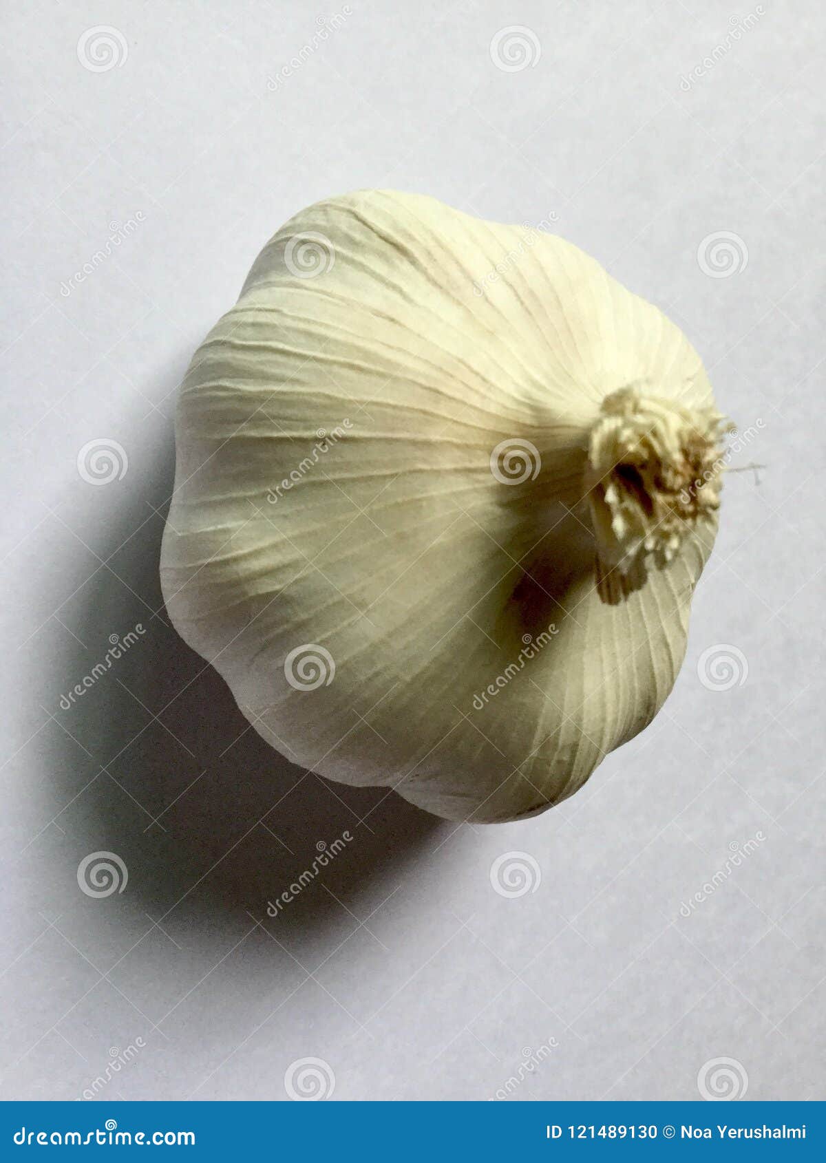 Fresh. Single garlic stock photo. Image of ingredient - 121489130
