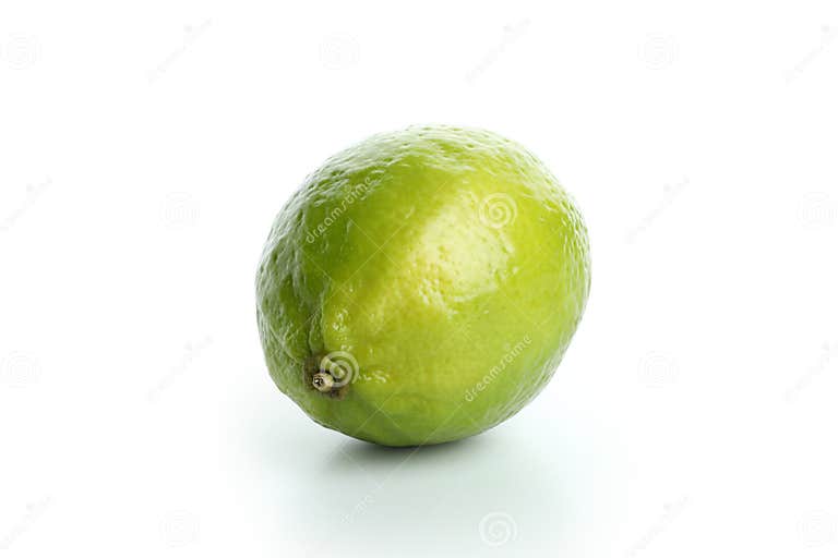 Fresh Single Lime Isolated on White Background Stock Photo - Image of ...