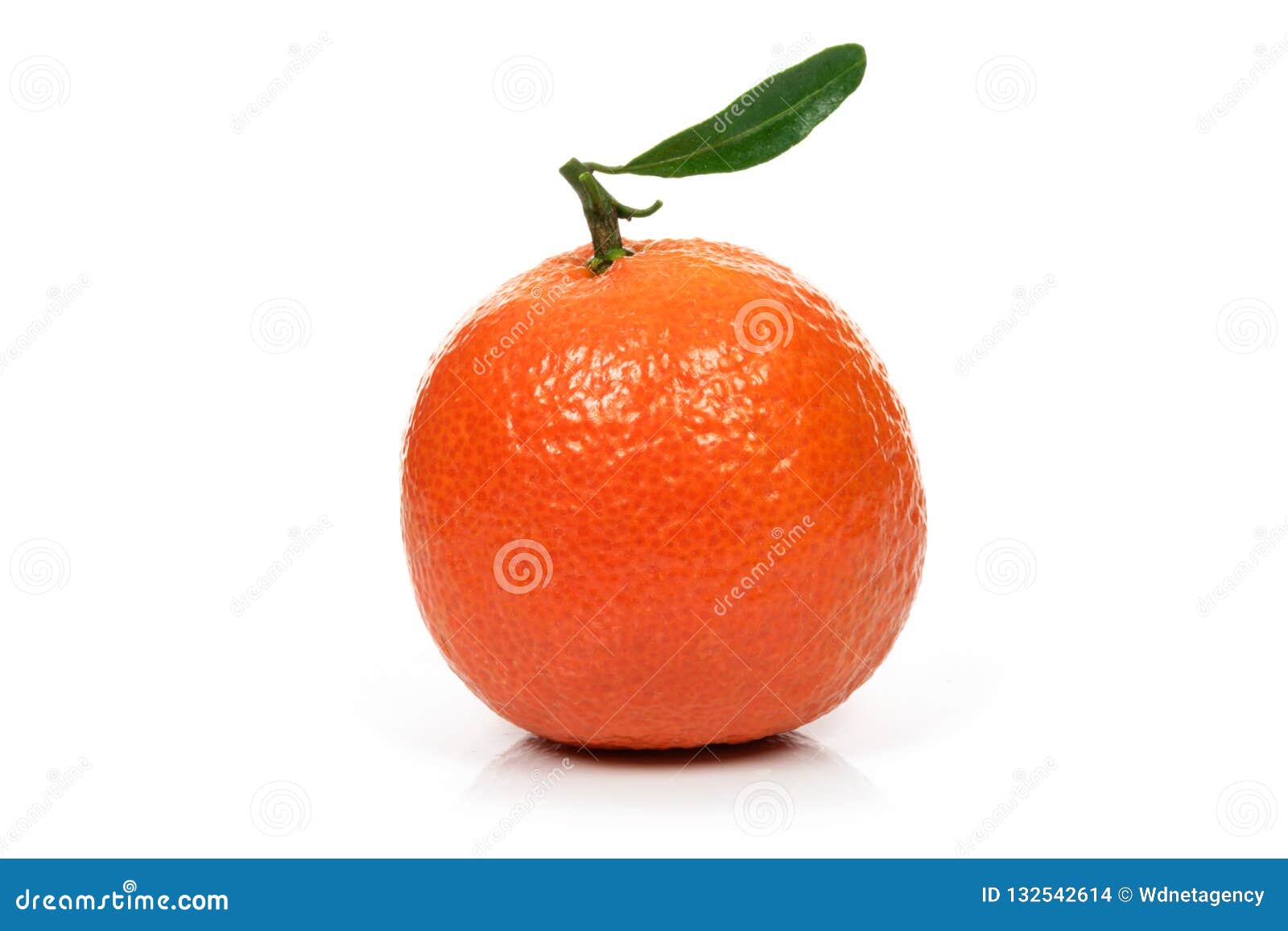 Fresh single orange fruit stock photo. Image of natural - 132542614