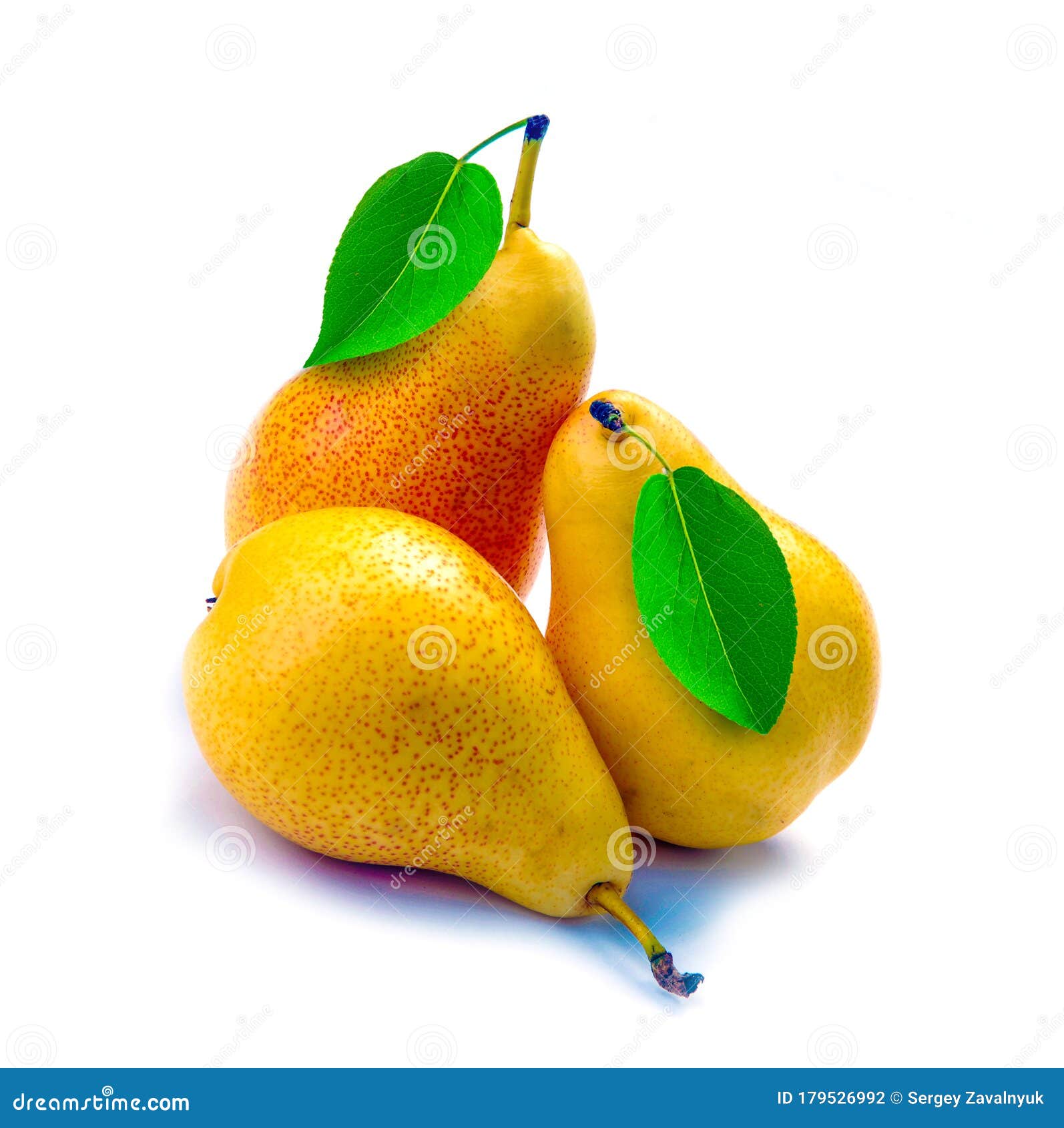 Fresh Single Pear with Leaf Isolated on White Stock Photo - Image of ...