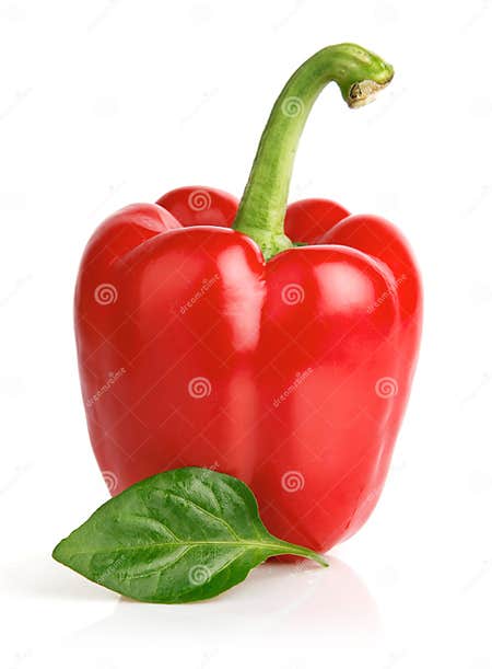 Fresh Single Pepper Fruit Isolated Stock Image - Image of ripe, fruit ...