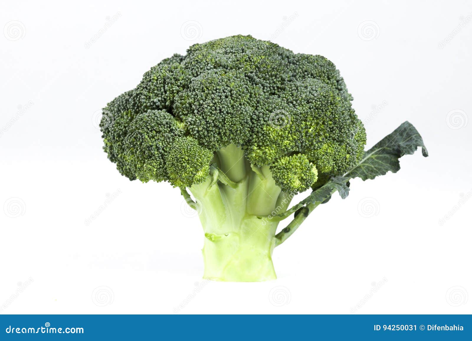 Fresh single ripe broccoli stock image. Image of fresh - 94250031