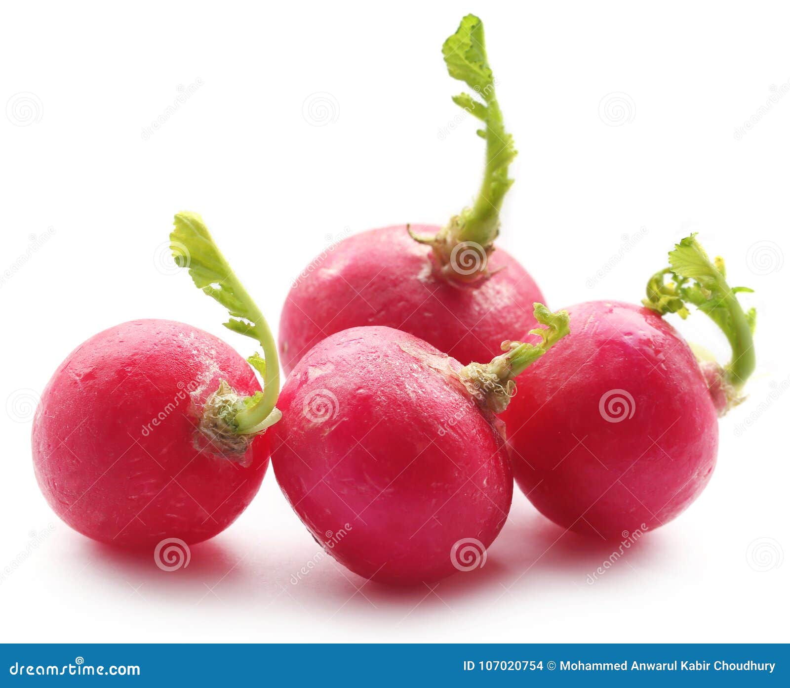 Small Red Radish, European Radish Royalty-Free Stock Image ...