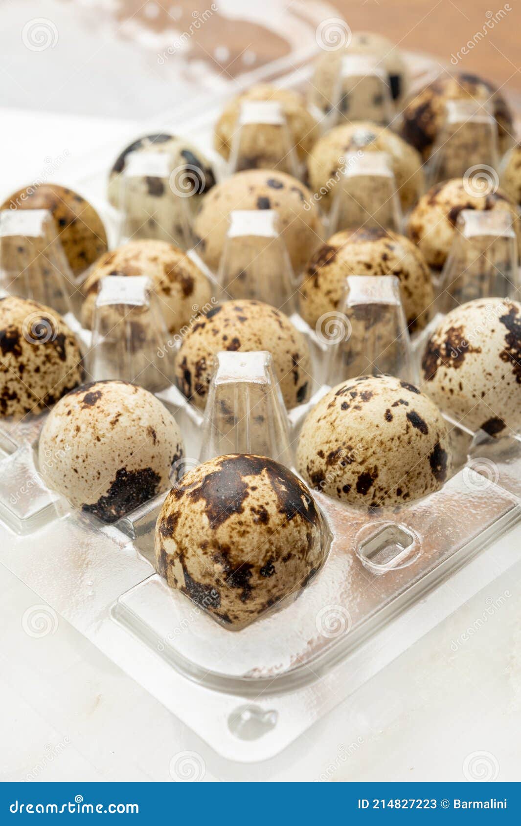 Fresh Small Spotted Partridge Eggs in Tranparent Plastic Container ...