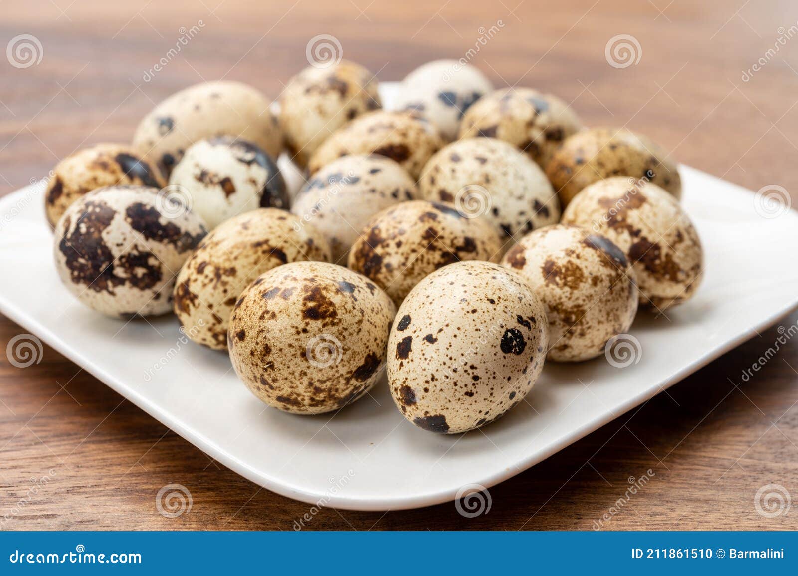 Fresh Small Spotted Partridge Eggs on White Board Stock Photo - Image ...
