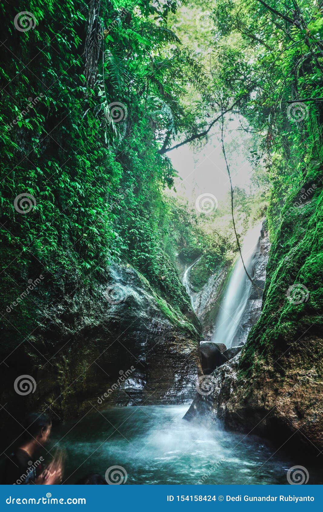 Fresh Small Waterfall through the Tropical Jungle Stock Photo - Image ...