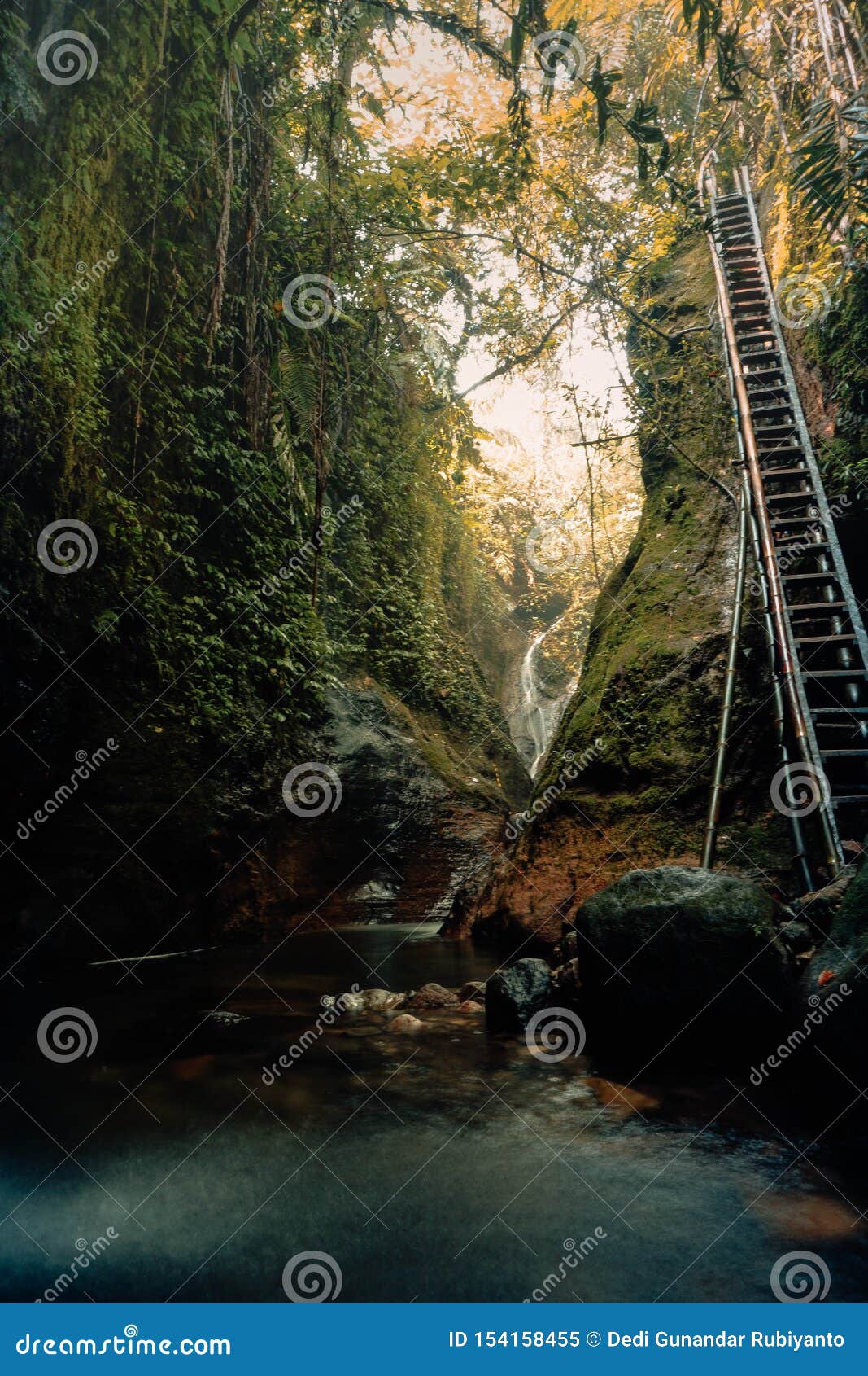 Fresh Small Waterfall through the Tropical Jungle Stock Image - Image ...