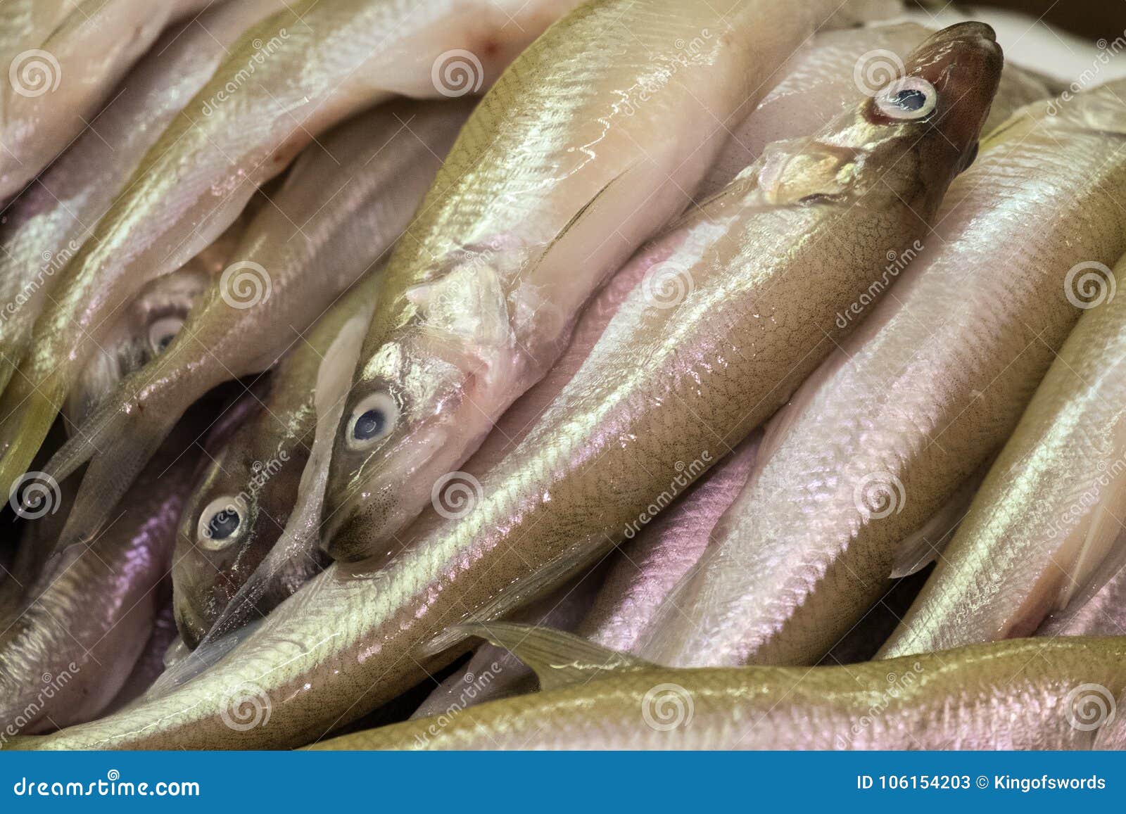 Fresh Smelt Fish on the Pile Stock Image - Image of market, seafood ...