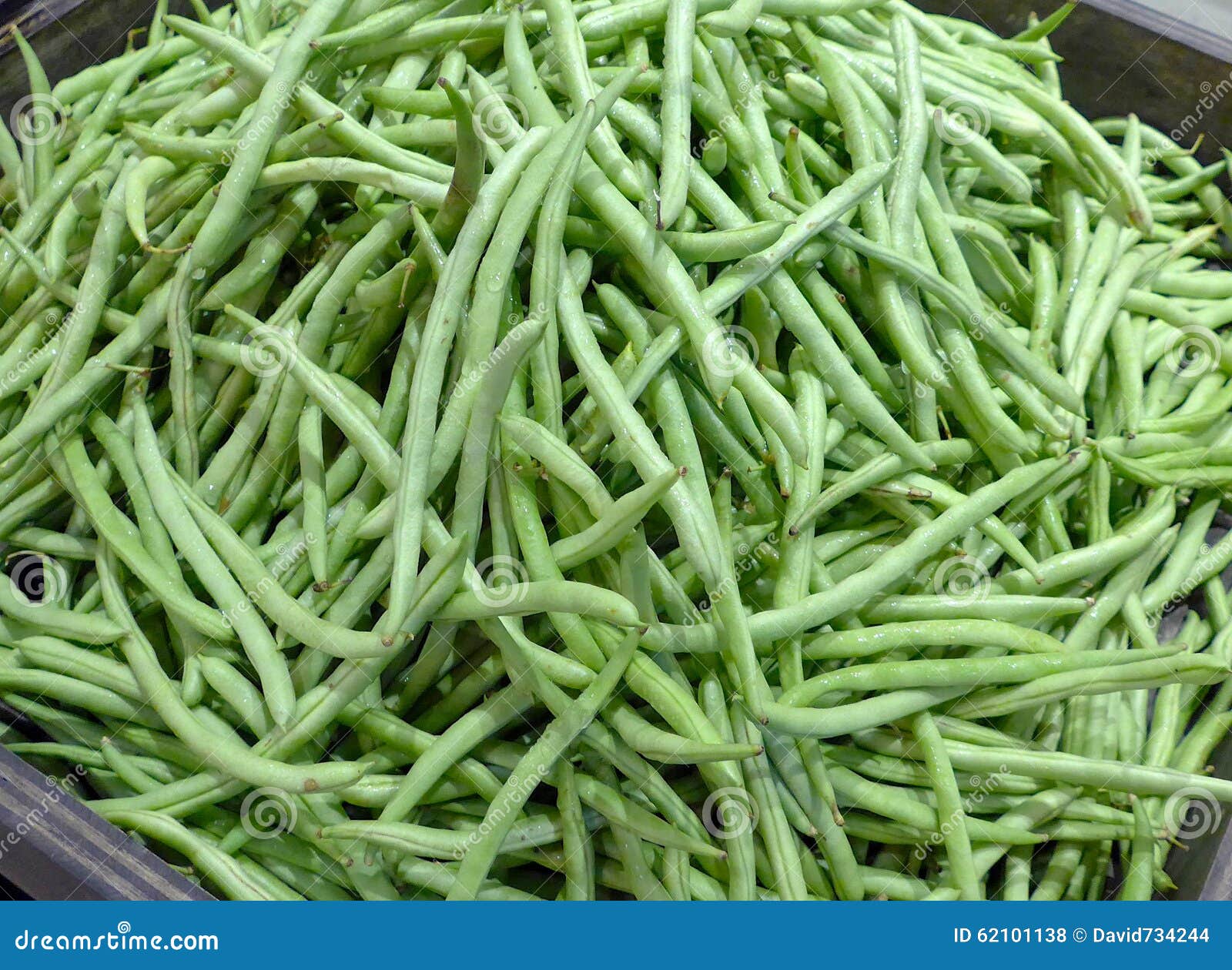 Fresh snap beans closeup stock photo. Image of plant - 62101138
