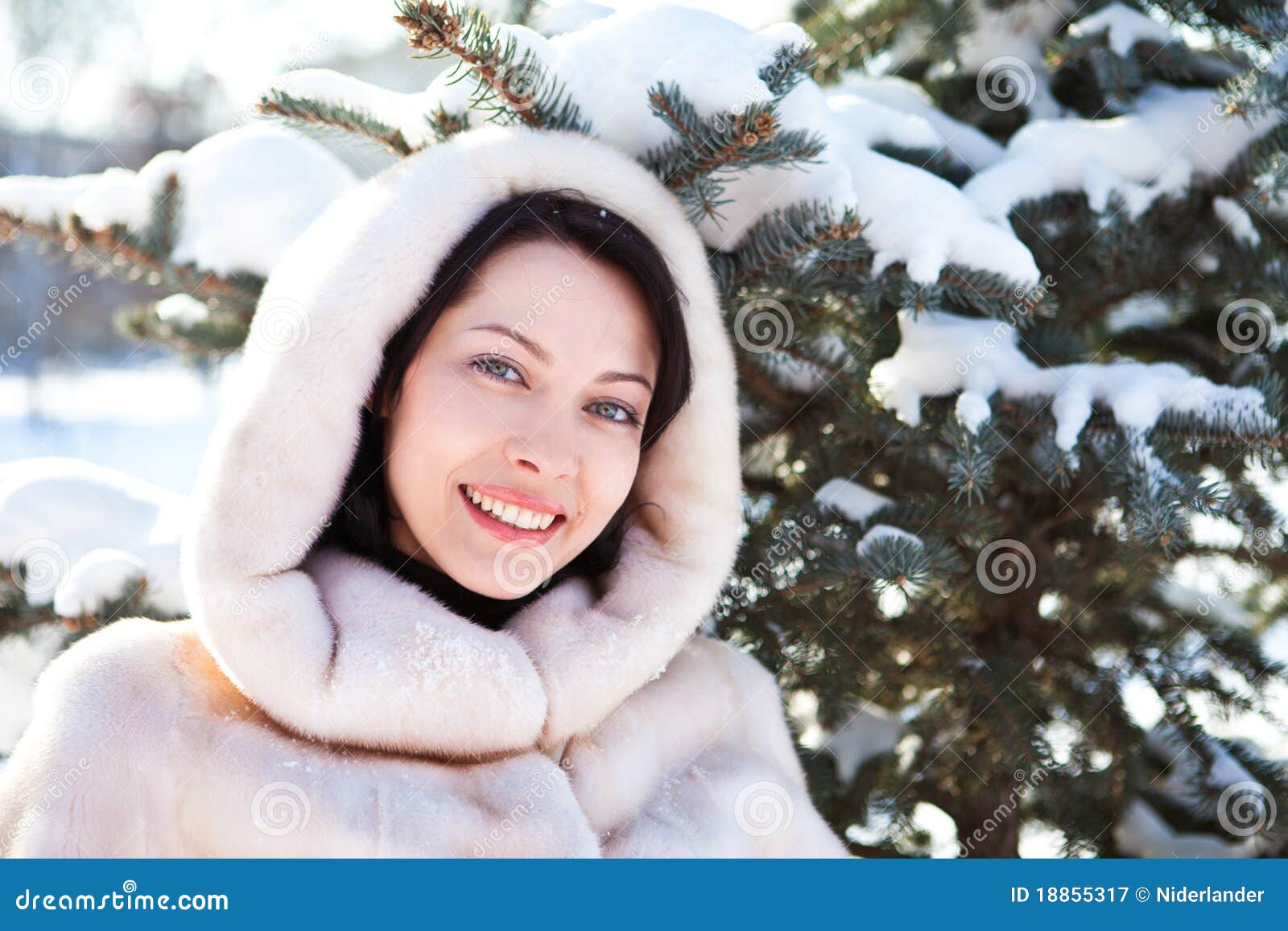 Fresh snow stock image. Image of face, frozen, nature - 18855317