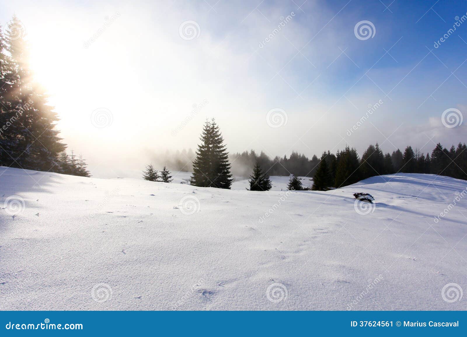 Fresh snow stock image. Image of scenery, water, remote - 37624561