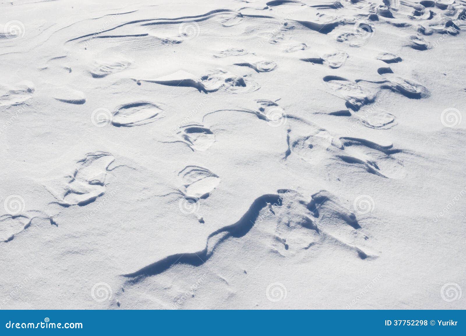 Fresh snow stock photo. Image of cold, seasonal, fresh - 37752298