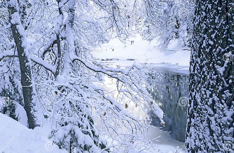 Fresh Snow stock image. Image of water, woods, yosemite - 54481