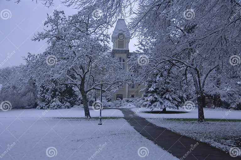 Fresh snow on campus stock image. Image of architecture - 7303263