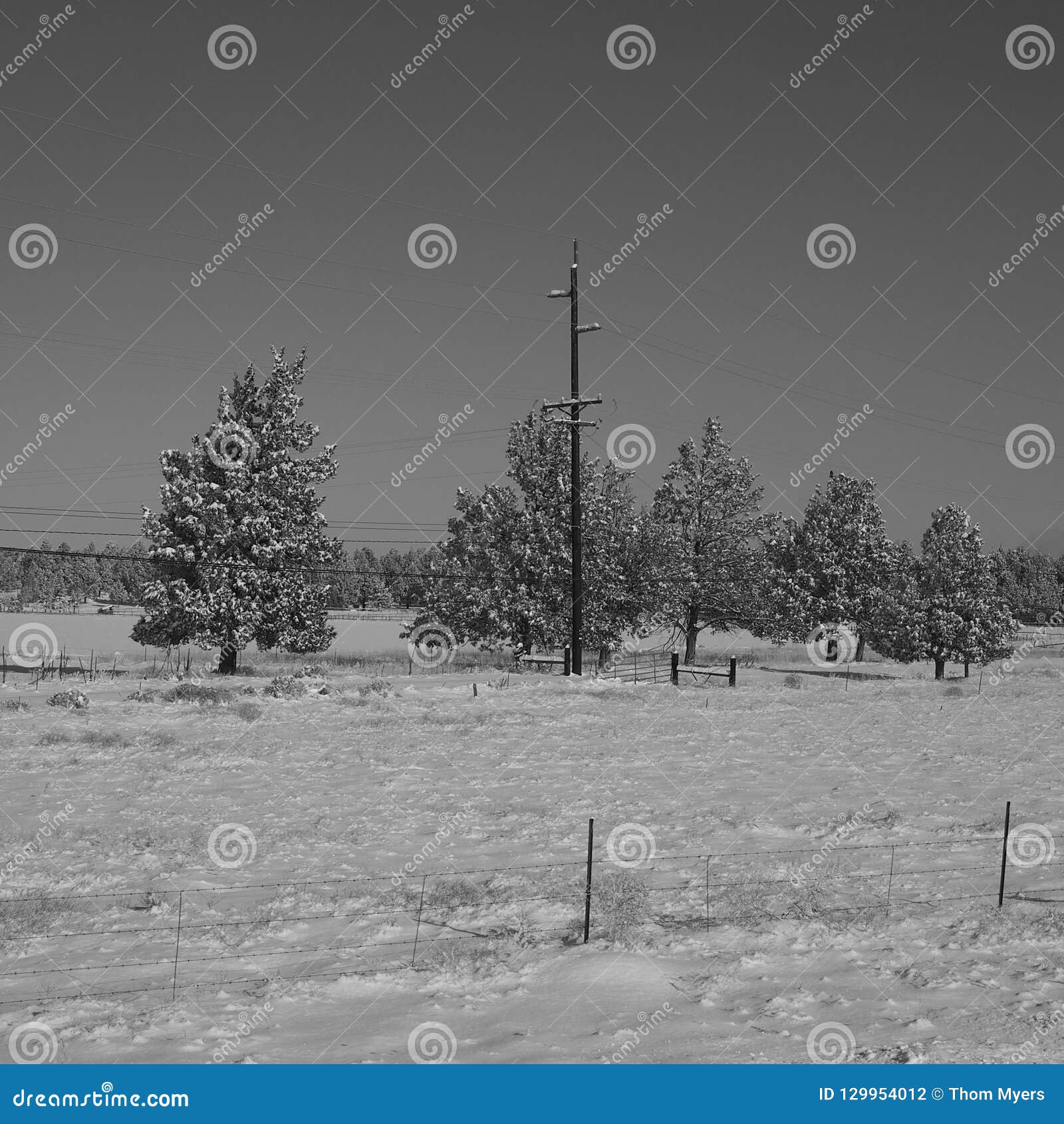 Fresh Snow in the Countryside Stock Photo - Image of snow, northwest ...