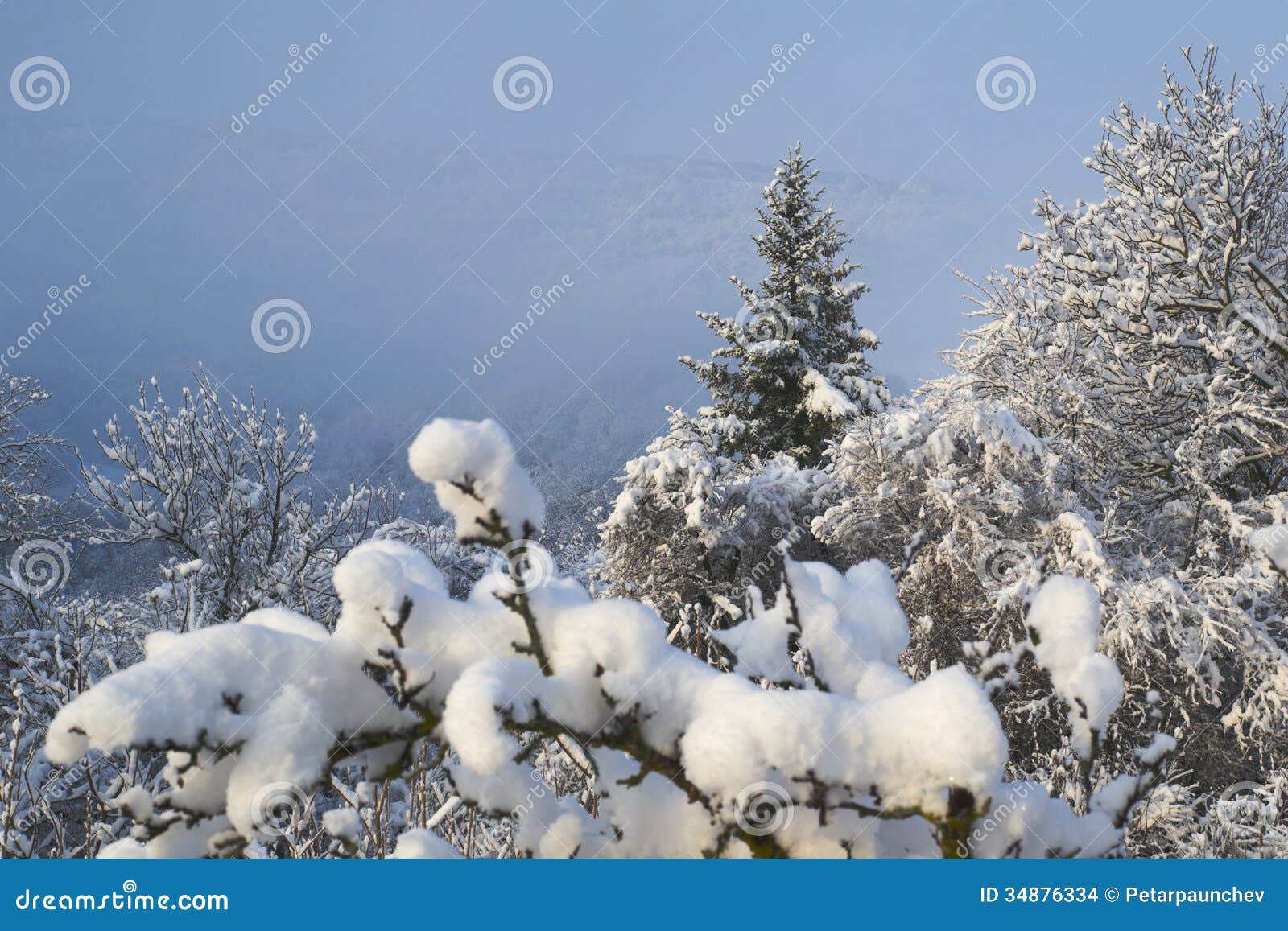 Fresh snow stock photo. Image of scene, freeze, january - 34876334