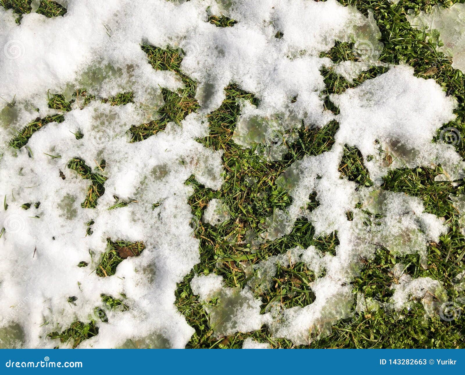 Fresh snow on green grass stock image. Image of close - 143282663