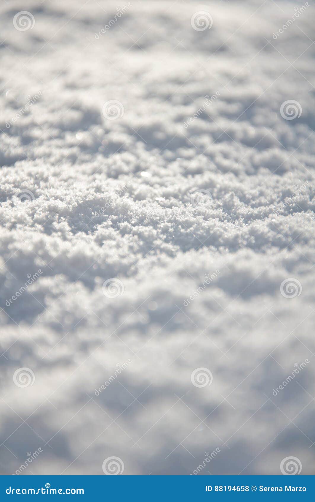 Fresh snow on the ground stock photo. Image of freeze - 88194658