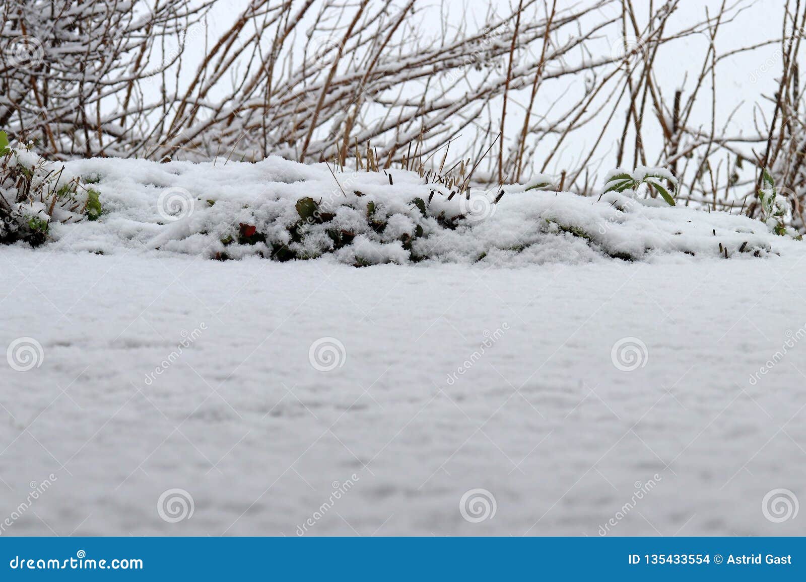 Fresh Snow Has Fallen To the Ground Stock Photo - Image of outdoors ...
