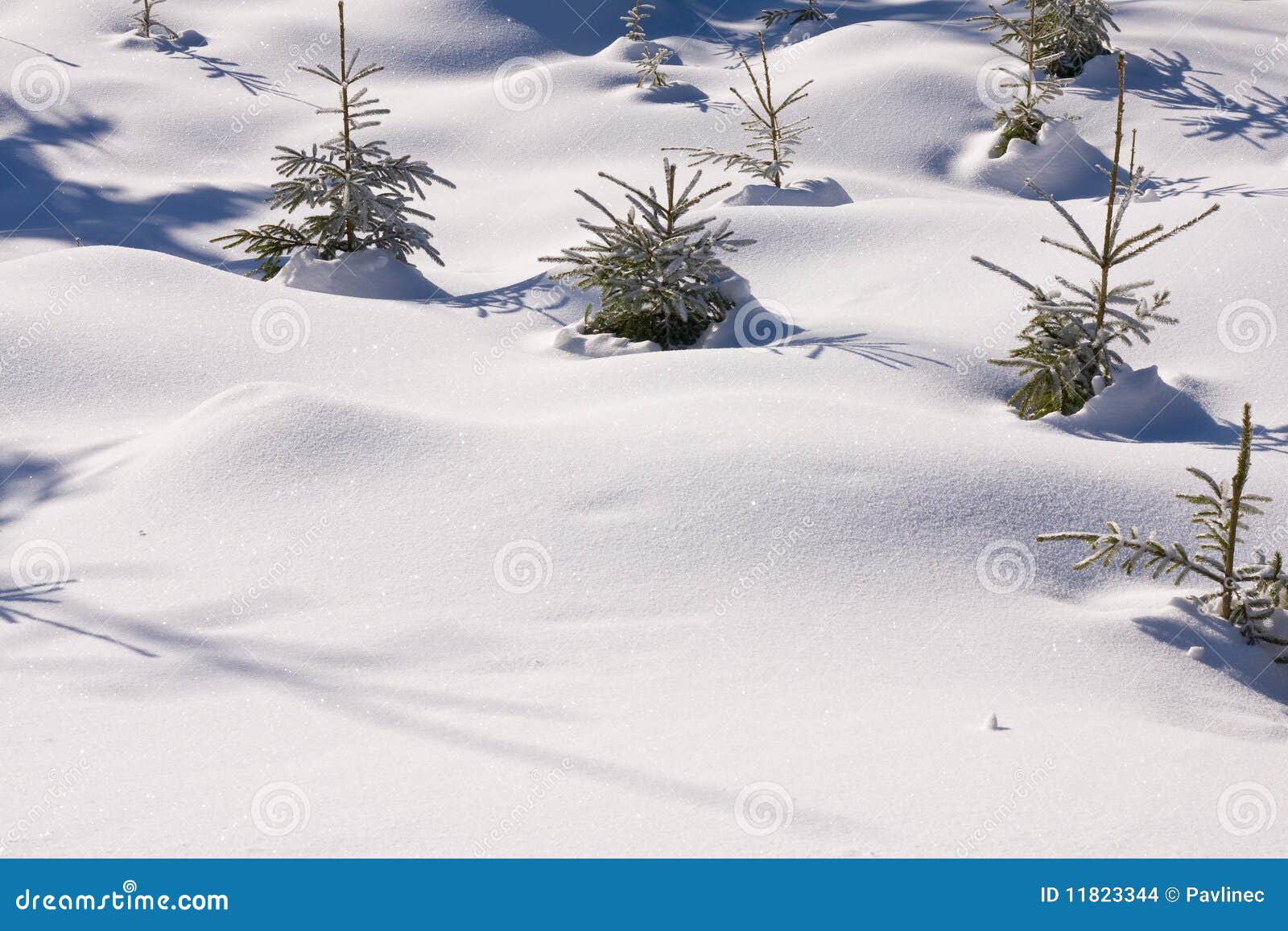 Fresh Snow in the Mountains Stock Photo - Image of season, skiing: 11823344