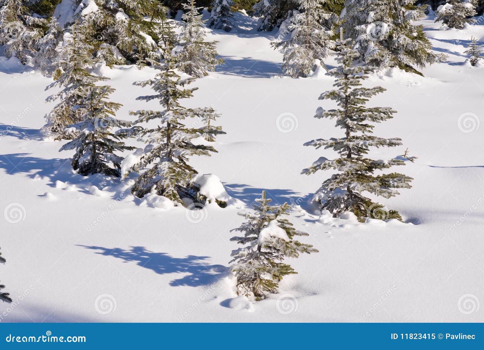 Fresh Snow in the Mountains Stock Image - Image of snow, pile: 11823415