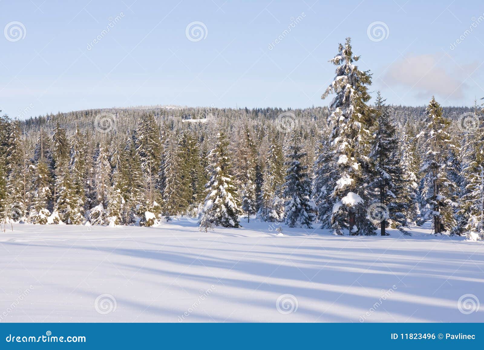 Fresh Snow in the Mountains Stock Photo - Image of outdoor, frost: 11823496