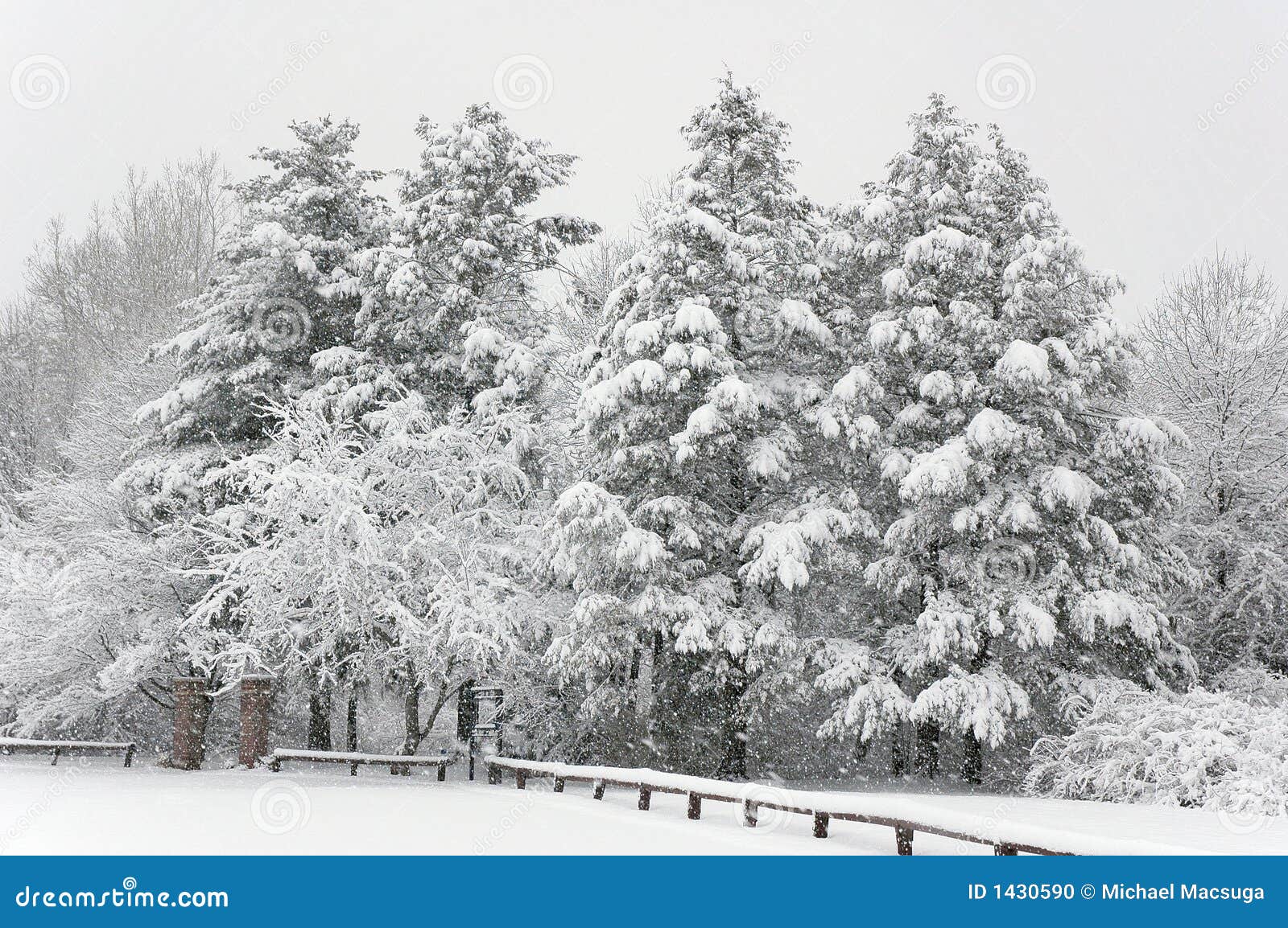 Fresh Snow at the Park stock photo. Image of covered, park - 1430590