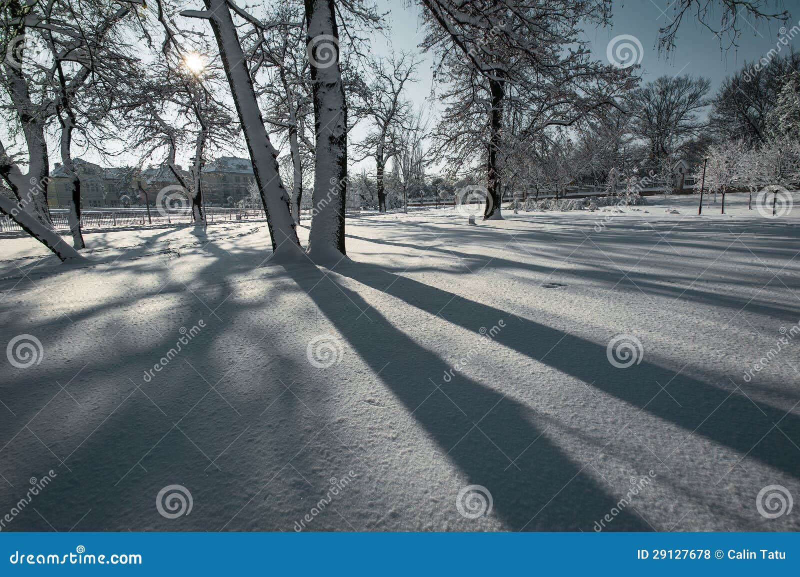 Fresh Snow and Shadows on a Sunny Winter Day Stock Photo - Image of ...