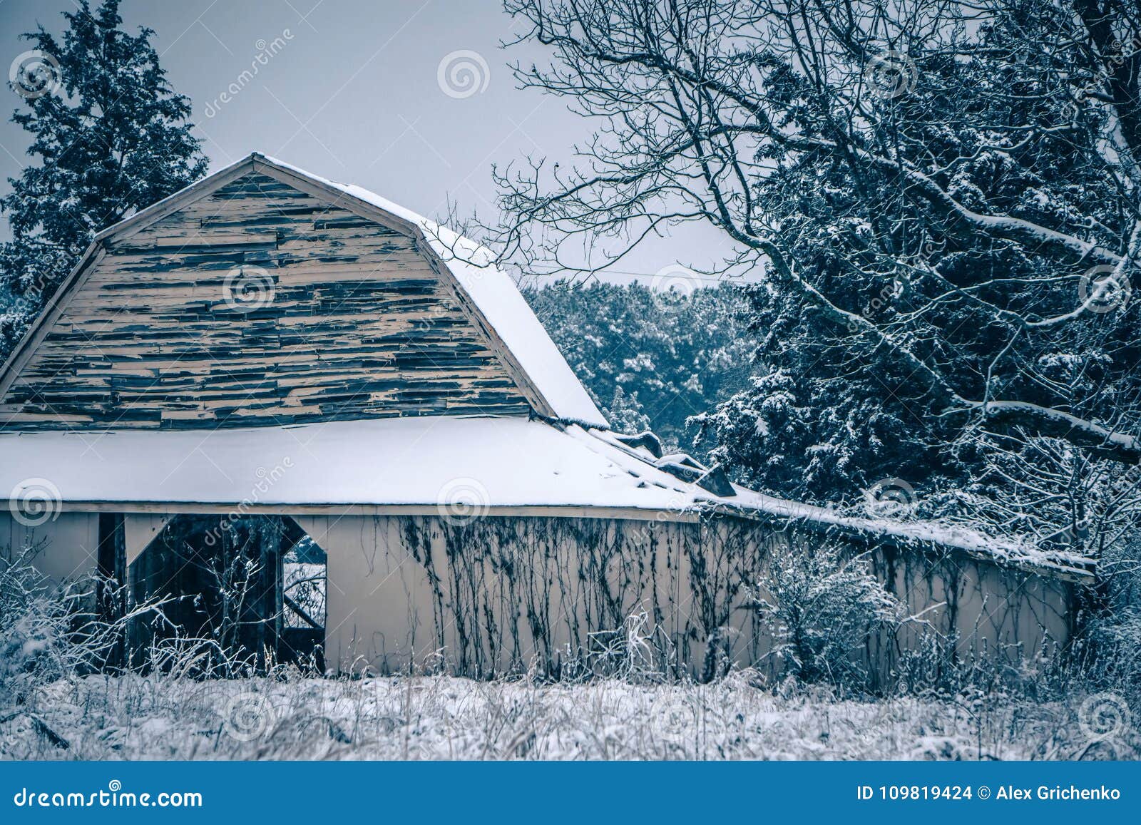 Fresh Snow Sits on the Ground Around an Old Barn Stock Photo - Image of ...