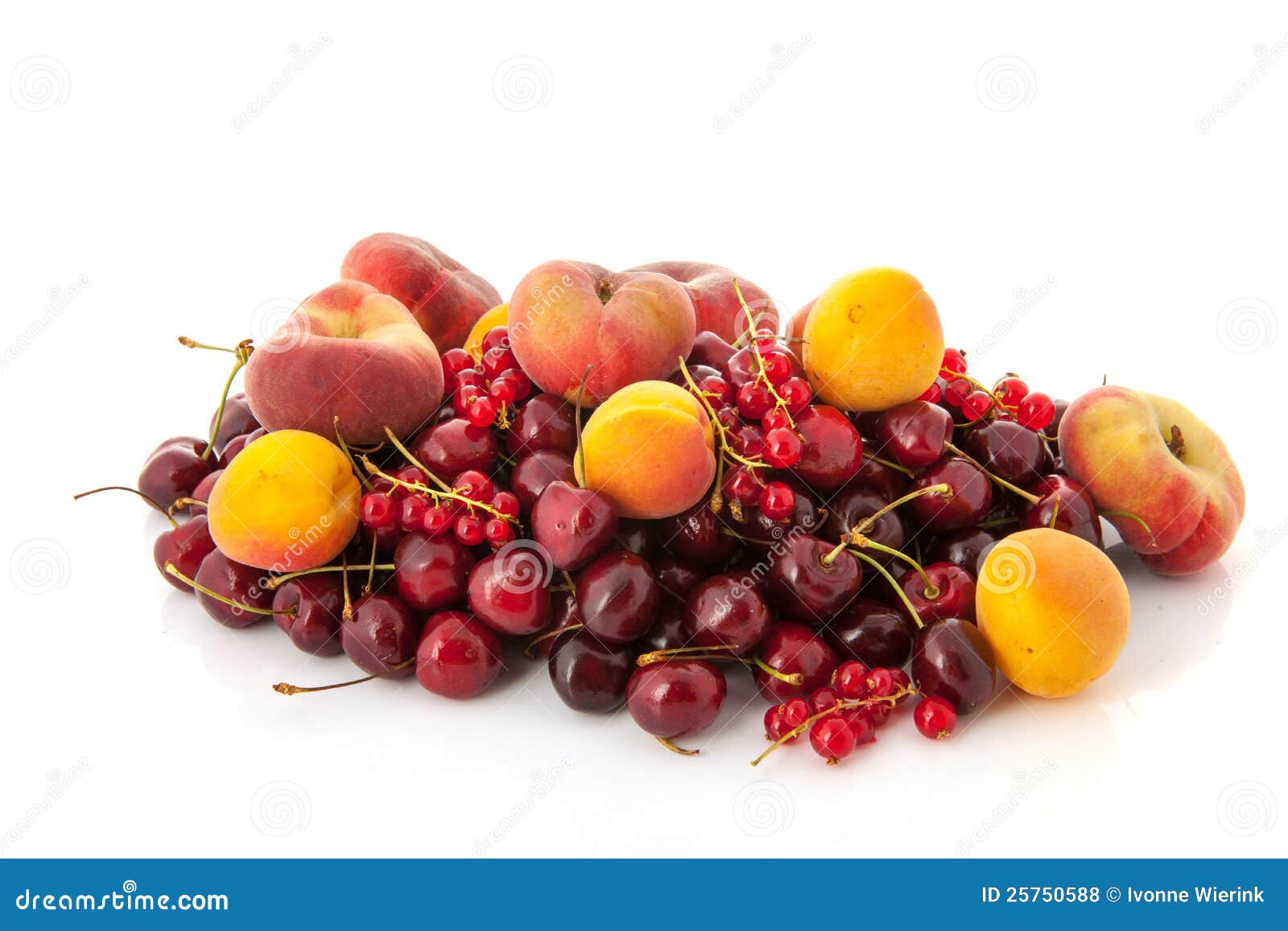 Fresh Soft Pink Rose Frame On White Background. Wedding Background ...