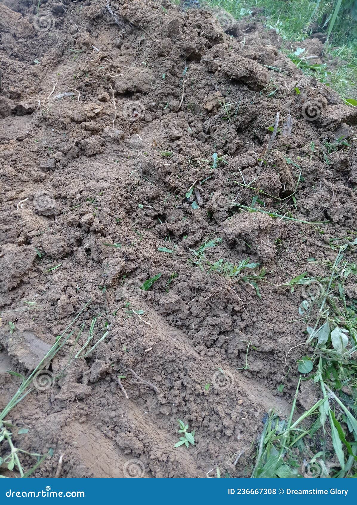 The Fresh Soil in the Farm for Plants Stock Photo - Image of soil ...