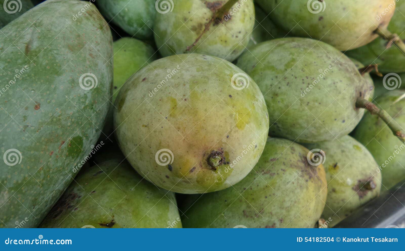 Fresh Sour Raw Mango Thailand Summer Fruit Stock Photo - Image of sour ...
