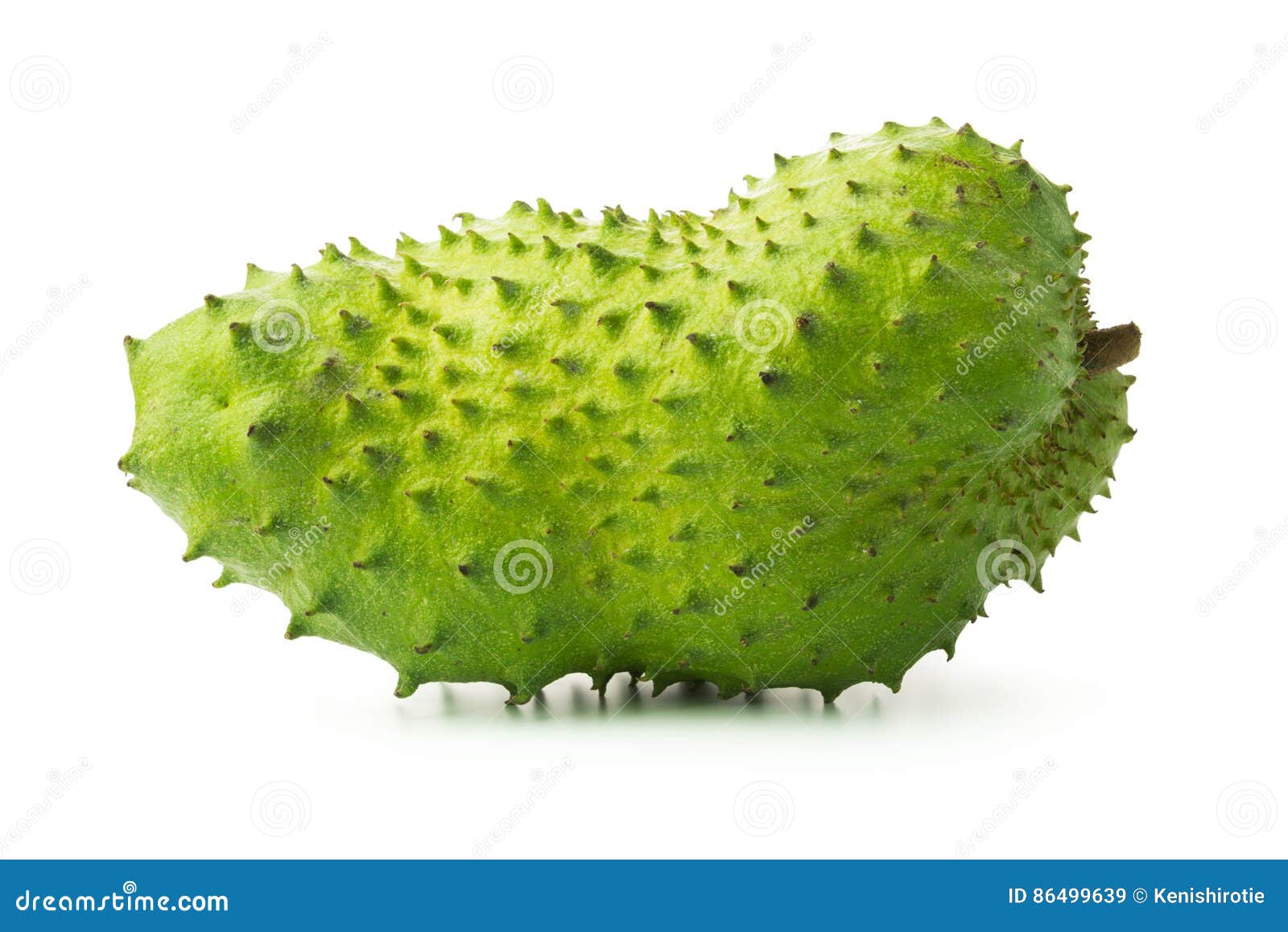 Soursop Is The Fruit Of Annona Muricata, A Broadleaf, Flowering ...