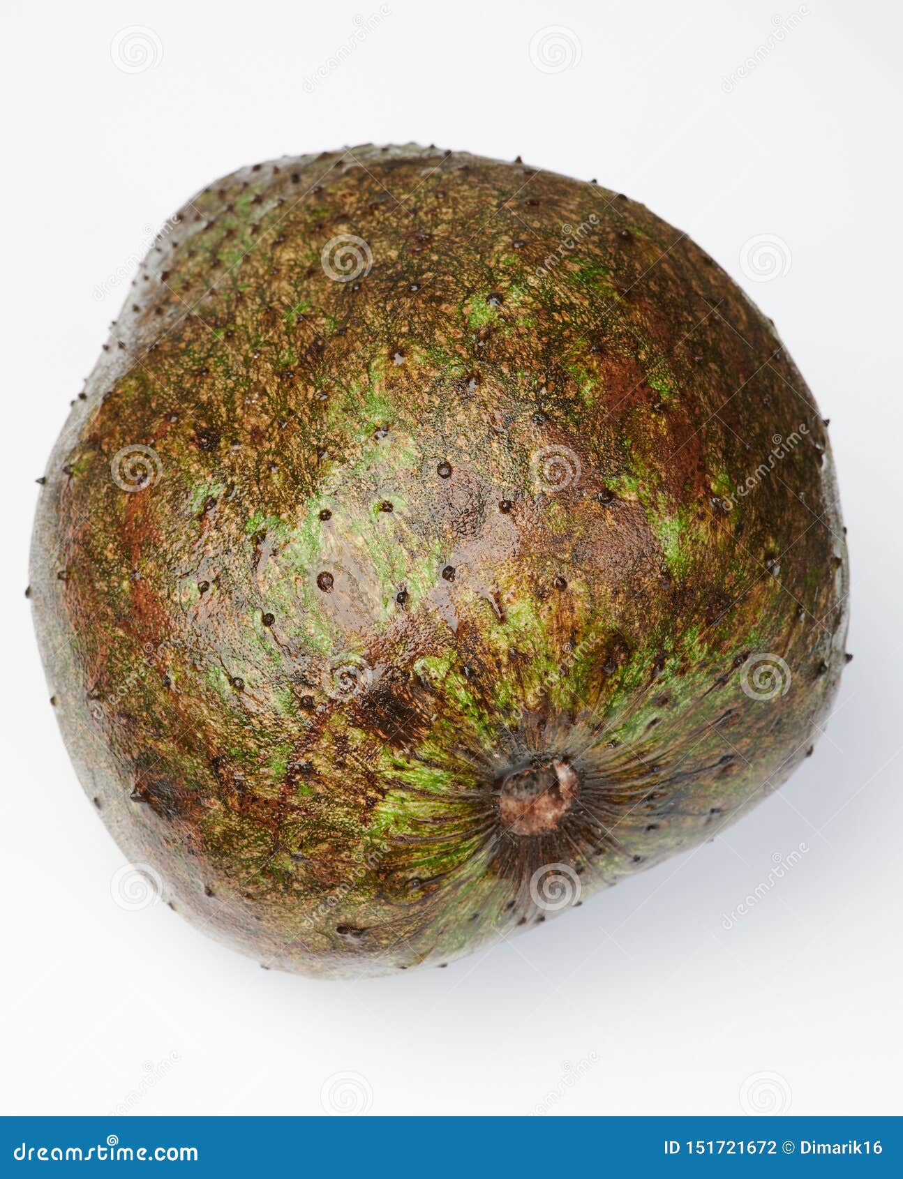 Fresh soursop fruit stock photo. Image of green, fruit - 151721672