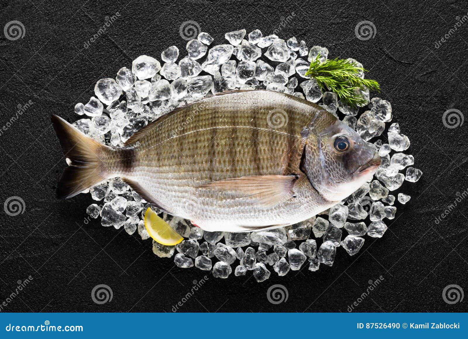 Fresh Spanish Bream Fish Sargo on Ice Stock Photo - Image of table ...