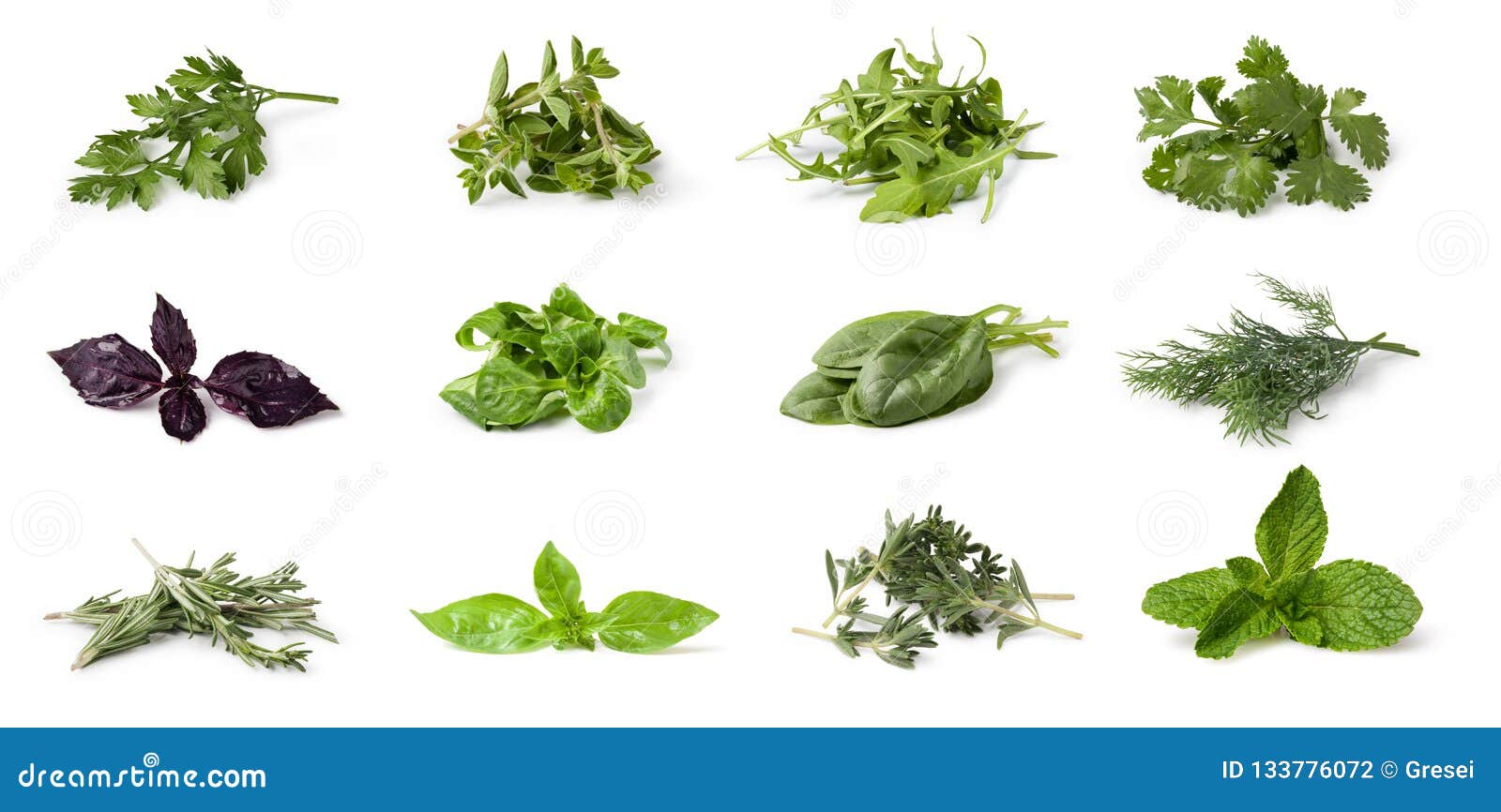 Fresh spices and herbs stock photo. Image of cooking - 133776072