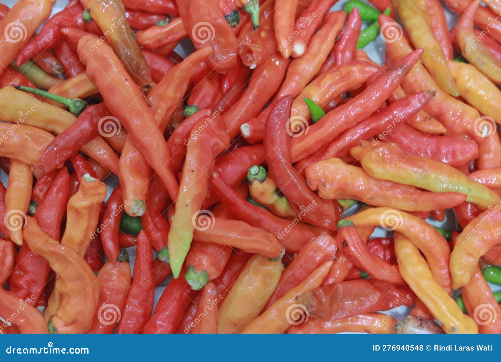 Fresh and Spicy Red Chili in Large Quantities and Ready To Be Processed Stock Photo - Image of ...