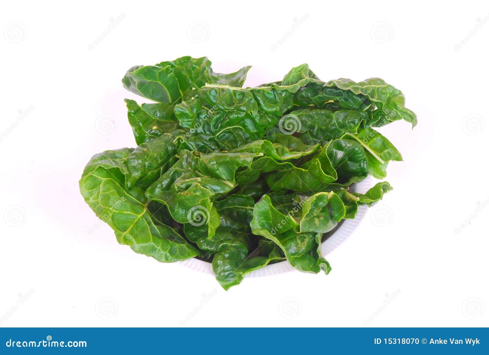 Fresh Spinach Stock Photo - Image: 15318070