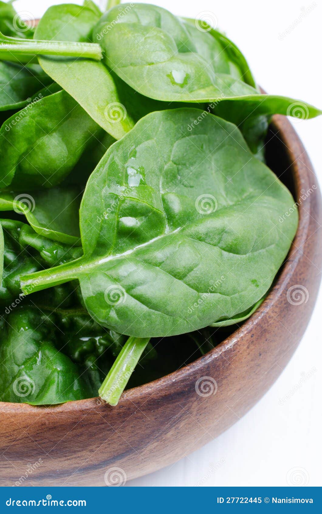 Fresh spinach stock image. Image of plant, lifestyle - 27722445